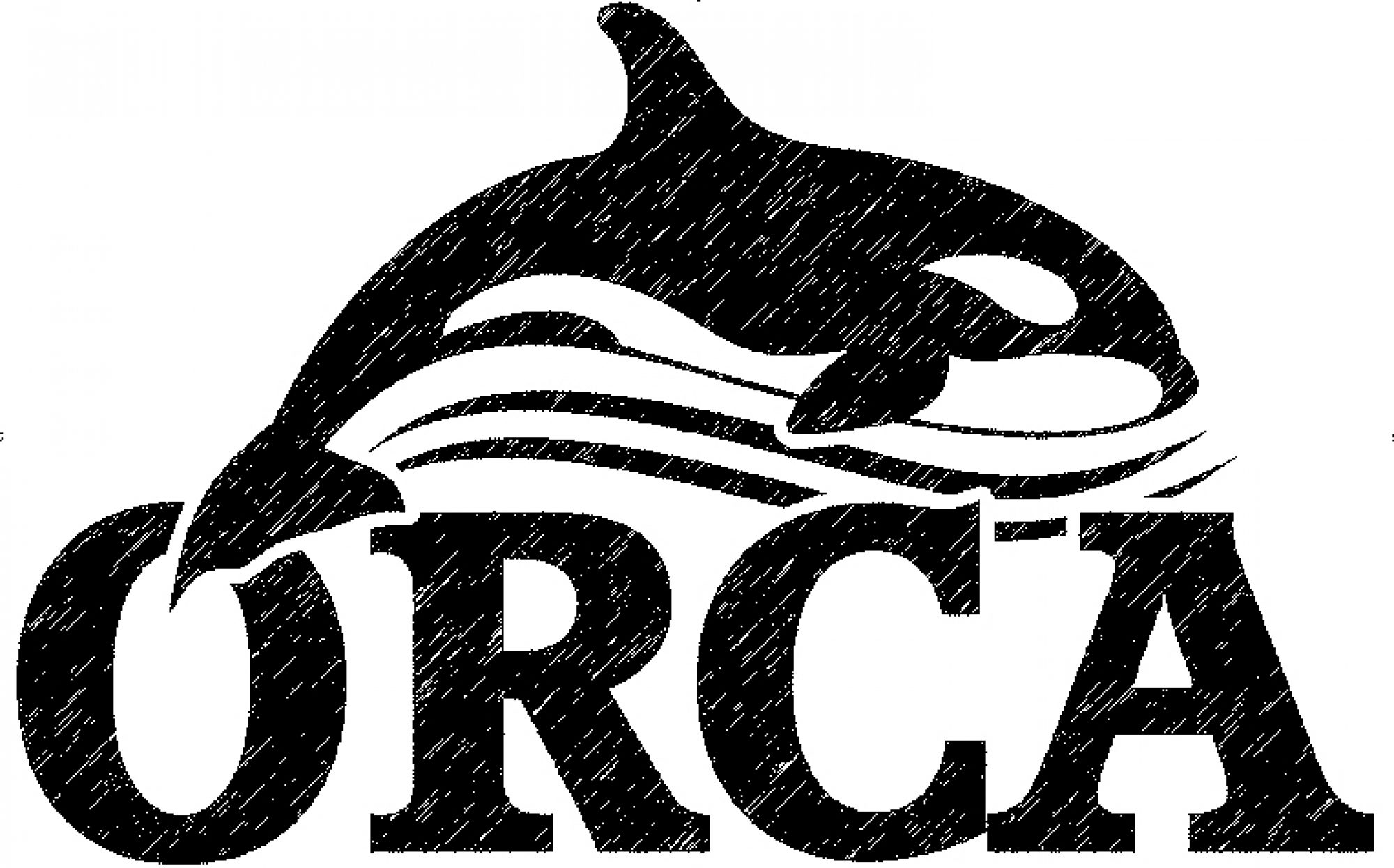 ORCA Swimming Club – make every lap count