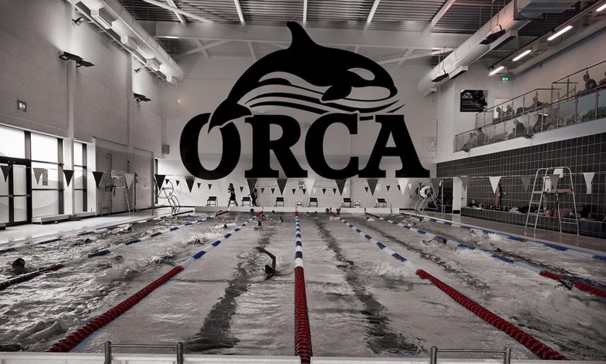 ORCA Swimming Club – Make Every Lap Count.